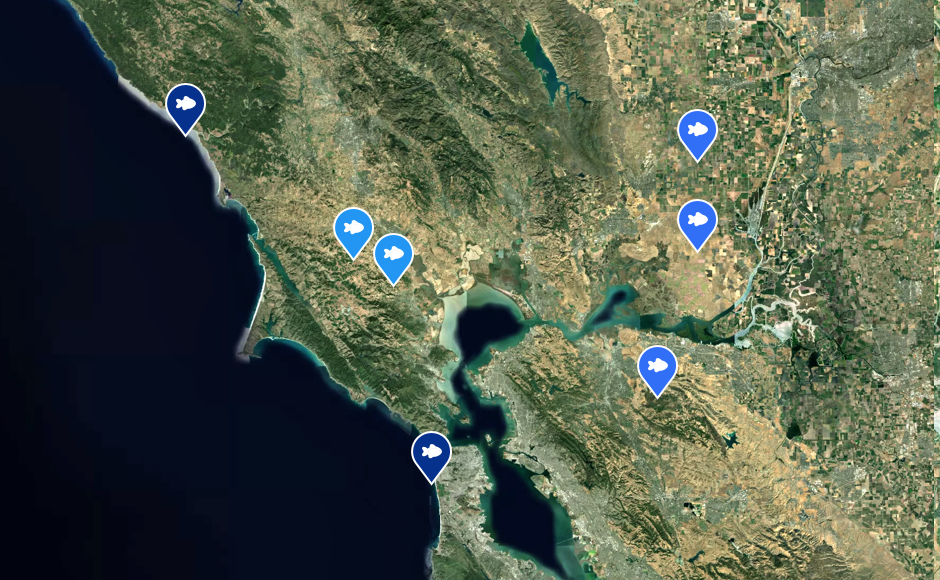 Track Catch Locations & Details